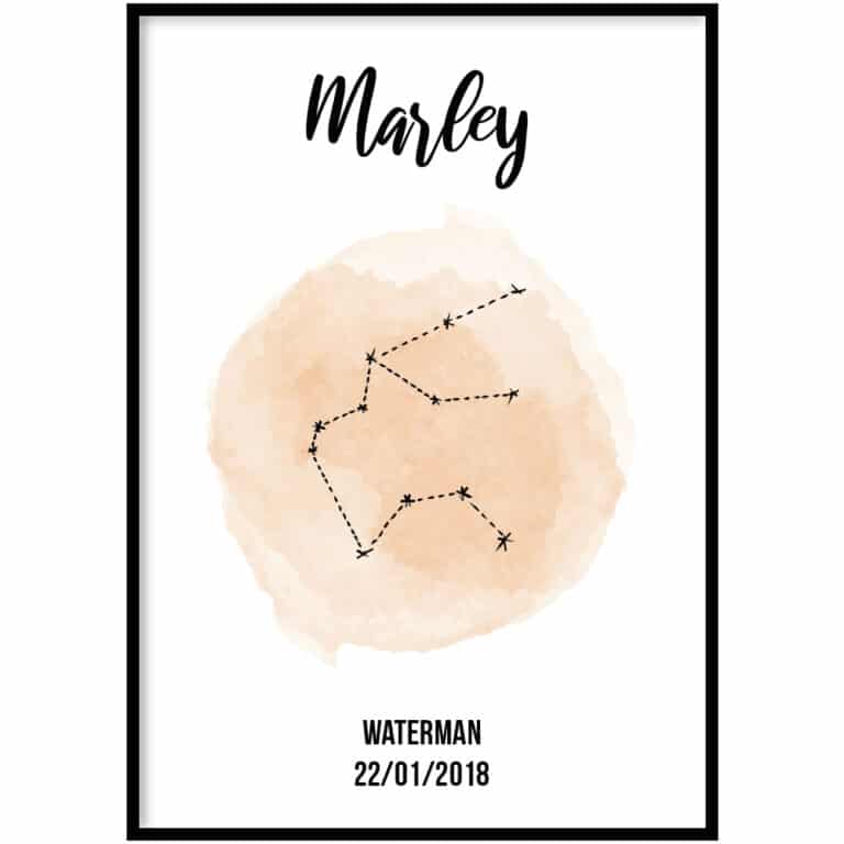 Sterrenbeeld Tweelingen: de belangrijkste eigenschappen | Wallll