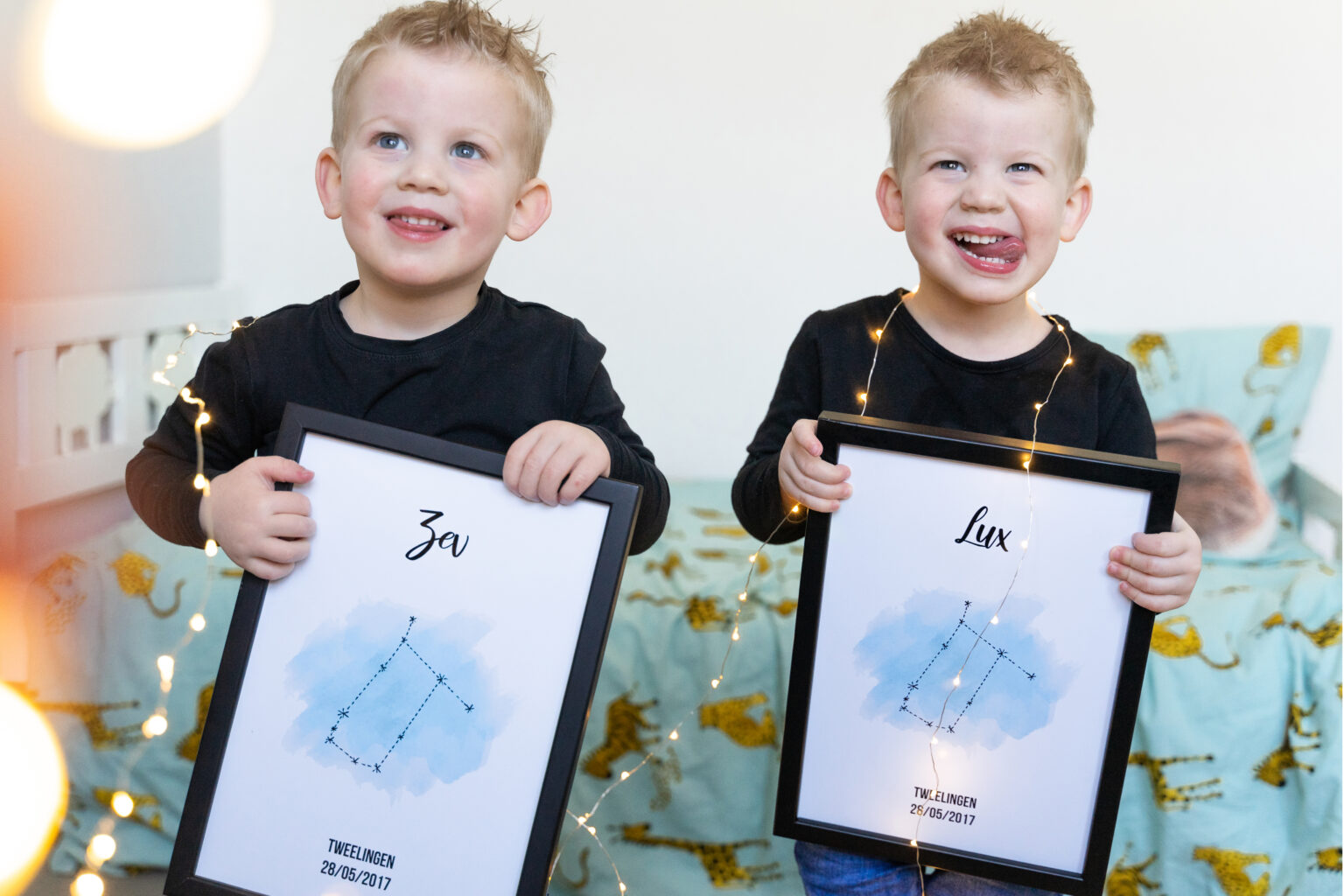 Sterrenbeeld Tweelingen: de belangrijkste eigenschappen | Wallll